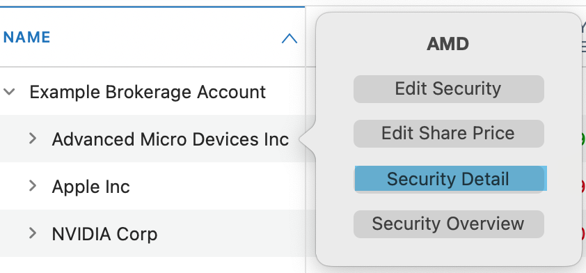 About the Security Detail View
